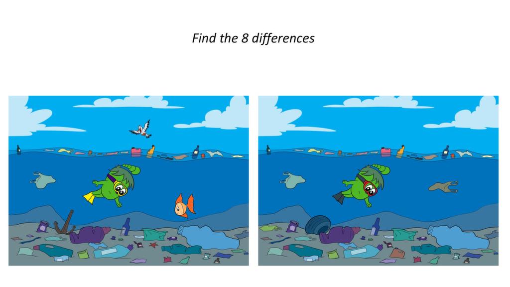 Waste and Waterways – Resources – MindYourFootprint